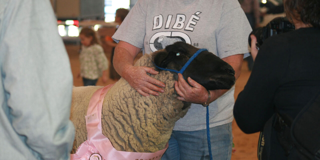 Home - Cedar Live Stock Fest