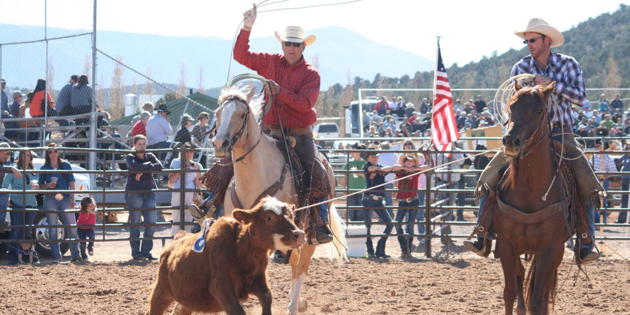 Home - Cedar Live Stock Fest