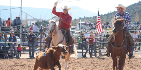 Home - Cedar Live Stock Fest