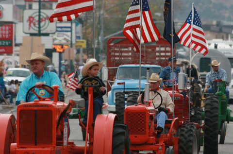 Home - Cedar Livestock Festival