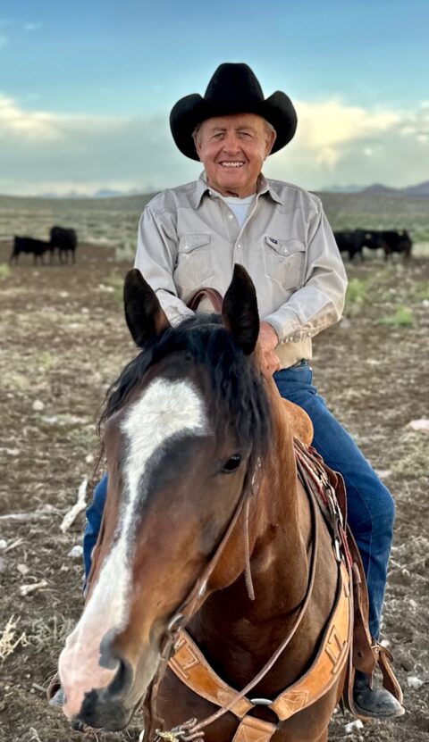Home - Cedar Livestock Festival